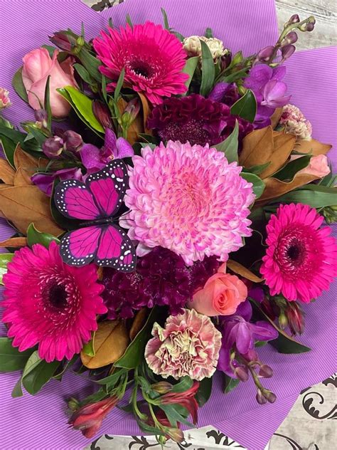 chrysanthumum bewitched flowers and ts