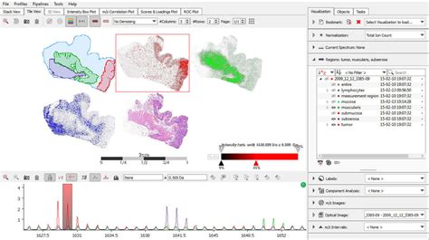 Analysesoftware Scils Lab Bruker Daltonics Inc Visualisierung