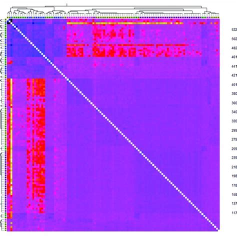 Finestructure Classification Based On The Obtained Snp Markers From Download Scientific