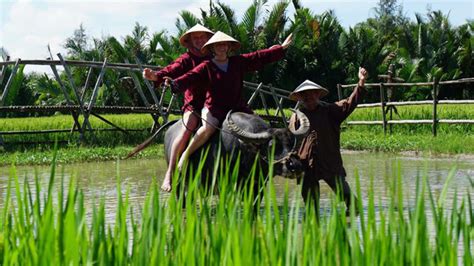 Phát triển du lịch sinh thái bền vững gắn với nông nghiệp nông thôn