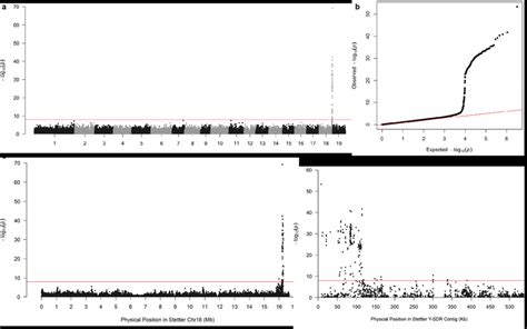 Sex Association Analysis With Markers From The V1 Main Genome Of Download Scientific Diagram
