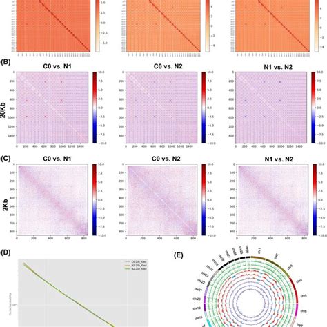 Genome Wide Chromatin 3d Structure Dynamics In Response To Nitrogen Download Scientific Diagram
