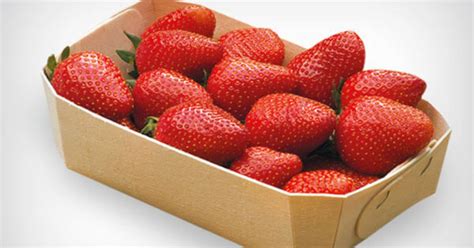 Лотки для овощей и фруктов | Компания «Продупаковка»