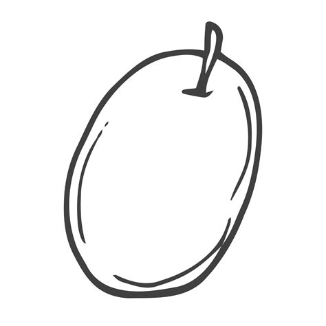 Hand Drawn Plum Illustration Doodle Eps 10 Vector 18916291 Vector Art