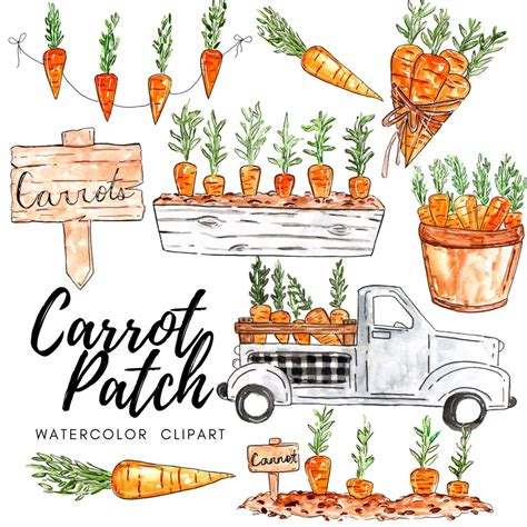 Watercolor Easter Carrot Patch Clipart Spring Garden Carrot Etsy