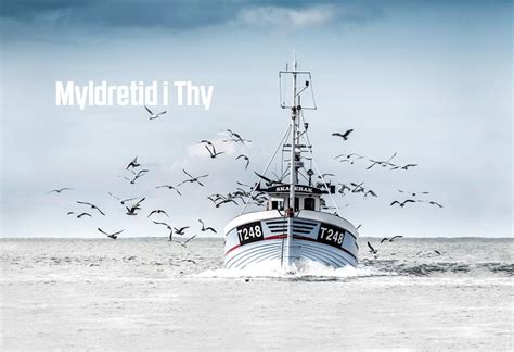 Ivan Johansen Posted On Linkedin