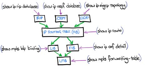 Multiprotocol Label Switching Mpls Notes Arbitrary Cognitive Expulsion