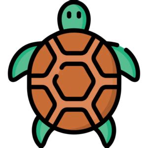 CSUK Coder CSUK S Learn To Code Platform