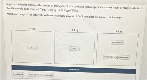 Solved Suppose A Scientist Measures The Amount Of Dna Per