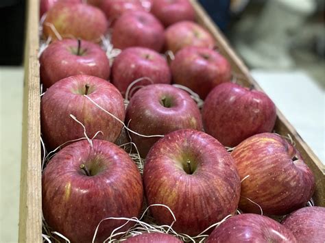 【長野県産】【数量限定】 蜜たっぷり！一度食べたら病みつき！ 【秀品】【糖度14度以上】 サンふじ 贈答用 5kg：長野県産のふじ｜食べチョク