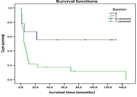 Kaplanmeier Survival Curves Stratifying The Patients Based On Survivin