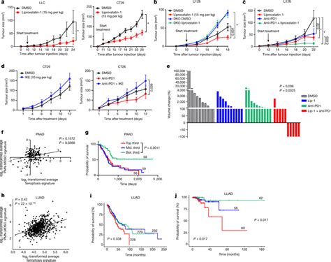 Antitumour Effect Of Ferroptosis Inhibition A Llc N 6 And Ct26