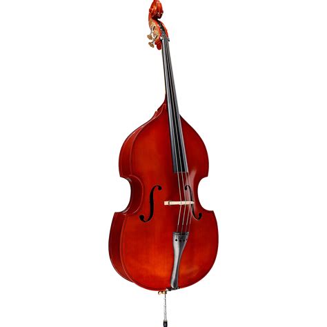 Etude Bass Ics 2 String Bass Outfit 1 2 Musician S Friend