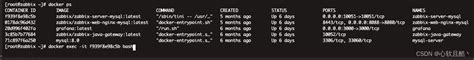 Docker容器操作permission Denied无权限问题解决办法docker Permission Denied Csdn博客