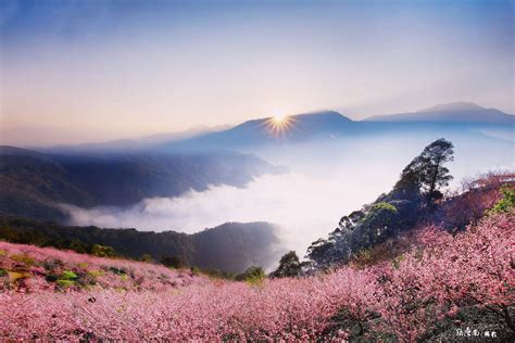 武界熱門景點介紹 瑪嵐雲瀑花園 武界休閒民宿南投縣民宿809號瑪嵐花園旅棧南投縣民宿1167號