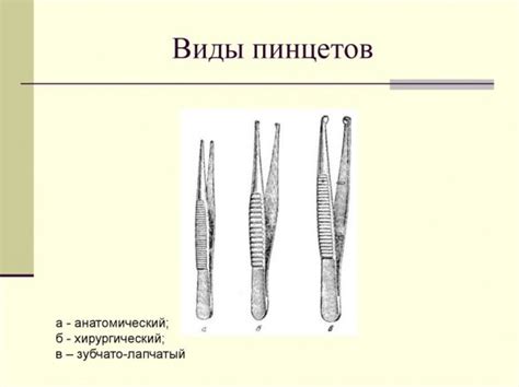 Пинцет анатомический, Венера-Вет купить (по ценам от завода ...