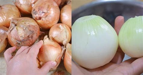 엄마 이렇게 보관해야 오래간다고 몇달 동안 싱싱하게 새 것처럼 보관할 수 있는 양파 보관법 모르면 손해 핵꿀팁
