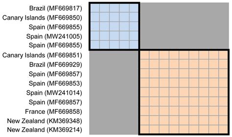 Pairwise Identity Matrix Based On The Its For The Usnea Arianae Clade Download Scientific