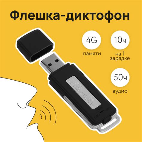 Диктофон ALEX GOODS ALGUSBD0, WAV, 4 ГБ купить по выгодной цене в ...
