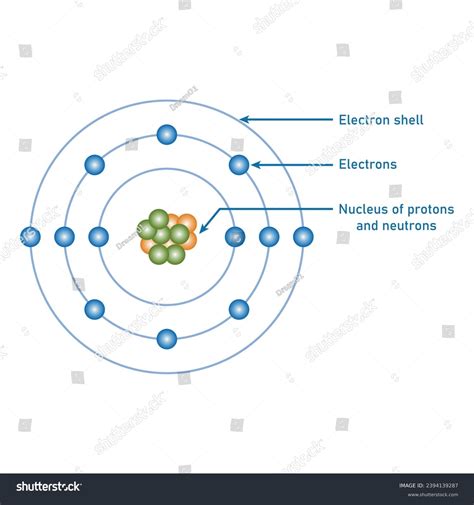 Atom Structure Model Diagram Bohr Atomic Stock Vector Royalty Free 2394139287 Shutterstock