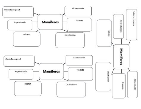 Mapa Conceptual Animal Pdf