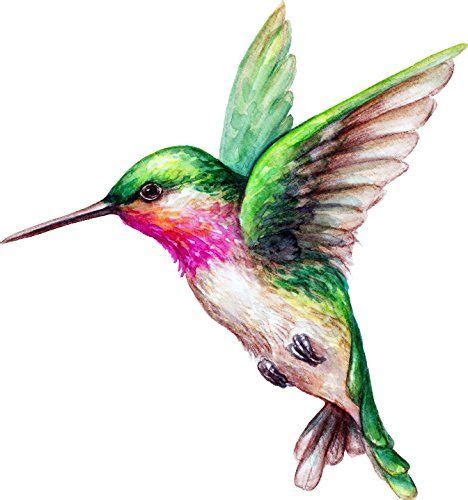 Beautiful Vibrant Colored Hummingbird Art 4 Vinyl Decal Sticker 2