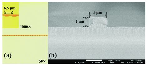 A Morphology Of Actual Waveguide Gratings Measured By Optical