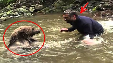 Медведица не могла спасти медвежат из воды. Но от того что сделал ...