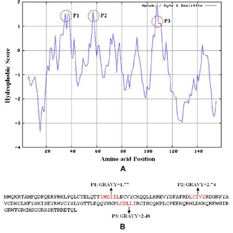 A Protscale Profile Of The Hpv E6 Protein P1 P2 Download Scientific