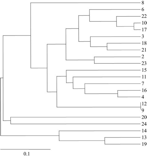 Dendrogram Showing The Diversity Of Root Nodule Bacteria Download Scientific Diagram