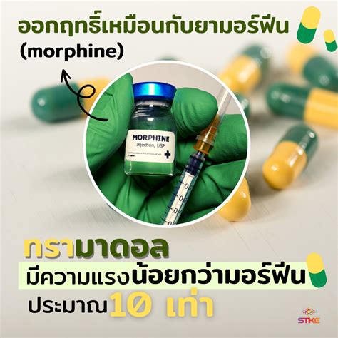 ทรามาดอล Tramadol ยาแก้ปวด ใช้ผิด เสี่ยงตาย Science And