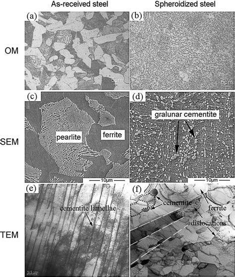 The Microstructures Of As Received A C E And Spheroidized B D F Download Scientific
