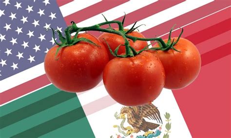 Impacto A La Producción De Tomate En Sinaloa Por Arancel De Eu