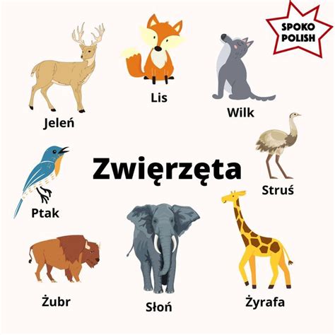Apprenez à Appeler Les Animaux En Polonais