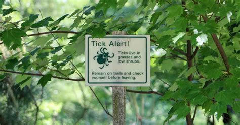 Fall Tick Bite Prevention Tips Tick Control®