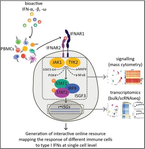 Standard Biotools On Linkedin Single Cell Analysis Of Signalling And Transcriptional Responses