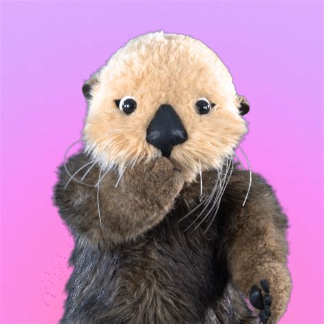 Pacific Pals S Find And Share On Giphy