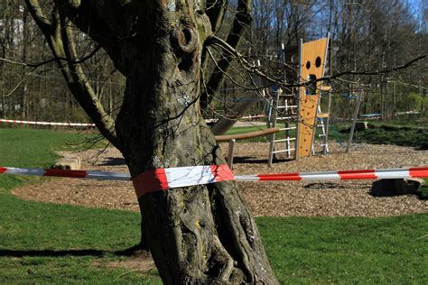 Recently Sent A Patch Qt Company Surprises Devs And Maintainers By Entering Commercial Only Lts