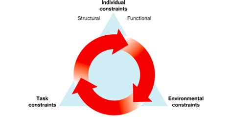 Diagram Of CONSTRAINTS Quizlet