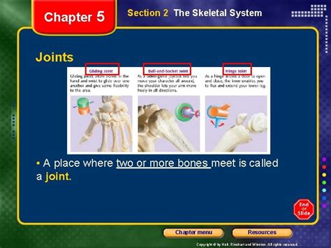 Chapter 5 Section 2 The Skeletal System Objectives