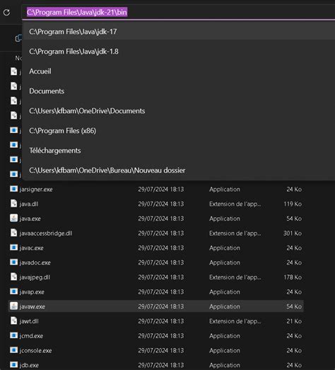 Mon Fichier Java Installer Ne Souvre Pas Sortez Moi De Là Par Pitié