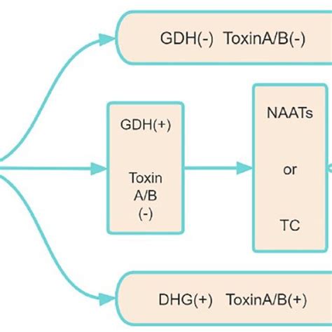 the two step approach for diagnosing cdi eia for gdh and toxin a b