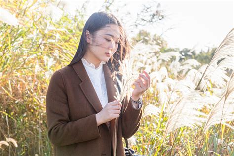 잔디 필드를 통해 도보로 하는 카메라를 들고 아름 다운 여자 20 24세에 대한 스톡 사진 및 기타 이미지 20 24세