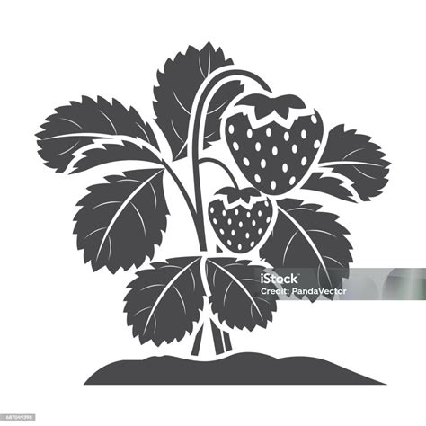 草莓圖示在黑色風格隔離在白色背景植物標誌股票向量例證向量圖形及更多商標圖片 商標 士多啤梨 多汁 Istock