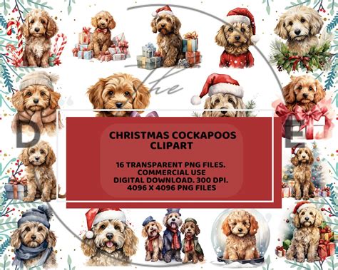 Christmas Cockapoo Clipart Set 16 Watercolor Illustrations Commercial Use Digital Download