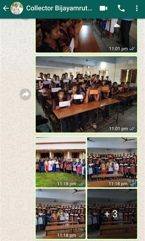 Our Gallery