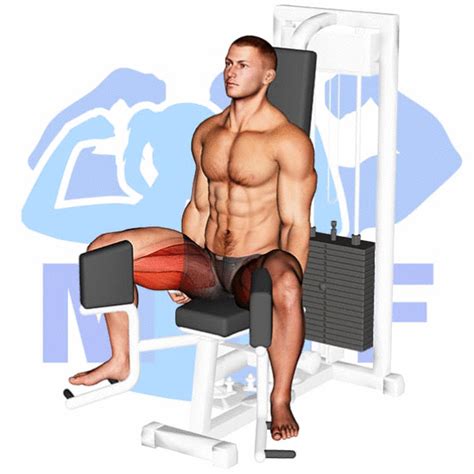 Lever Seated Hip Adduction Machine Your Simple Tutorial