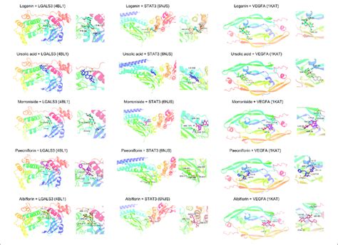 Molecular Docking Simulation Of Compound Target Binding Using Download Scientific Diagram