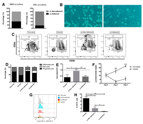 与内皮细胞共培养有利于人慢性粒细胞白血病干细胞和祖细胞的体外维持 知乎