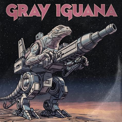 Gray Iguana Gray Iguana